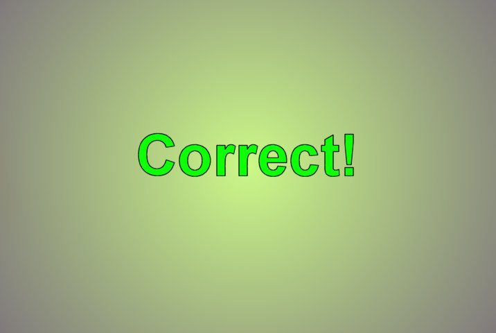 Salamon's Neuroanatomy and Neurovasculature Web-Atlas Resource